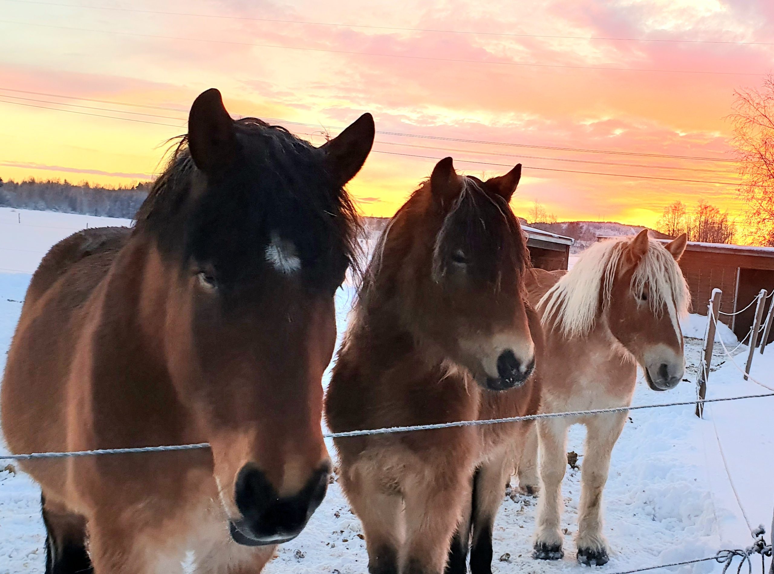 Eltern-Interviews aus aller Welt: Anke erzählt von ihrem Leben in ...