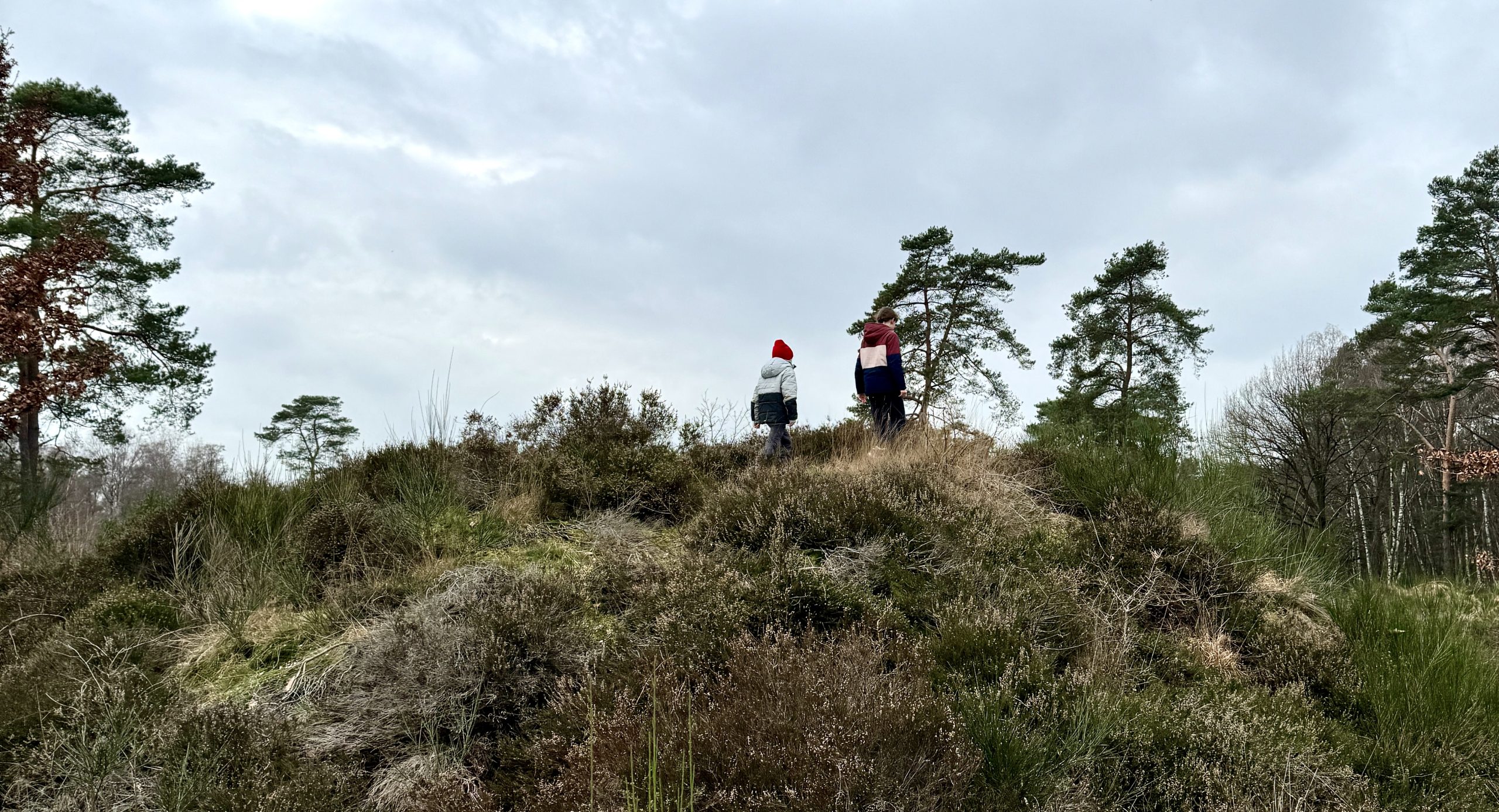 Geschwister-Chroniken: Teil 53 - LÄCHELN UND WINKEN